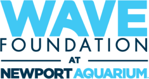 WAVE Foundation - Newport On The Levee